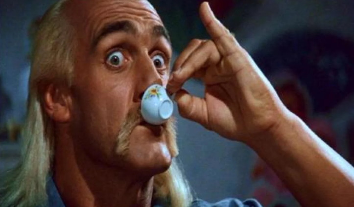 Mr. Nanny (1993) — Hulk Hogan trades his dignity for laughs – Mutant ...