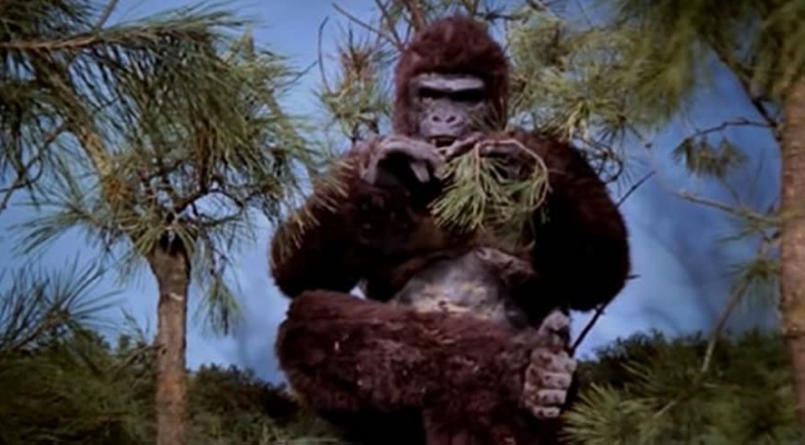 A*P*E (1976) — We’ll just pretend that King Kong ripped this off ...