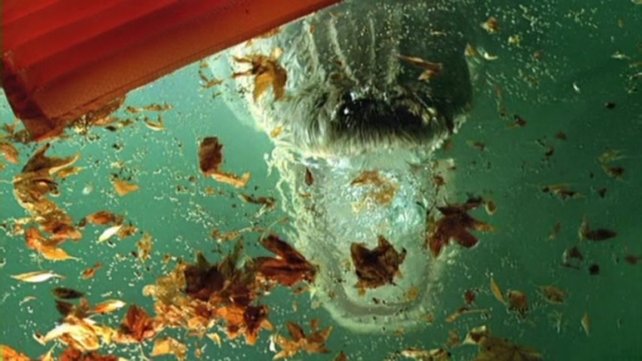 Alligator (1980) — The travails of a gator named Ramone – Mutant Reviewers