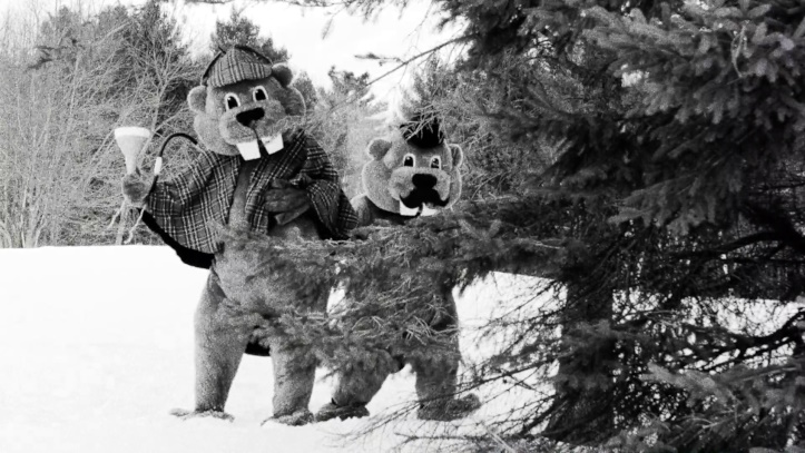 Hundreds of Beavers (2022) — Live-action slapstick genius – Mutant ...