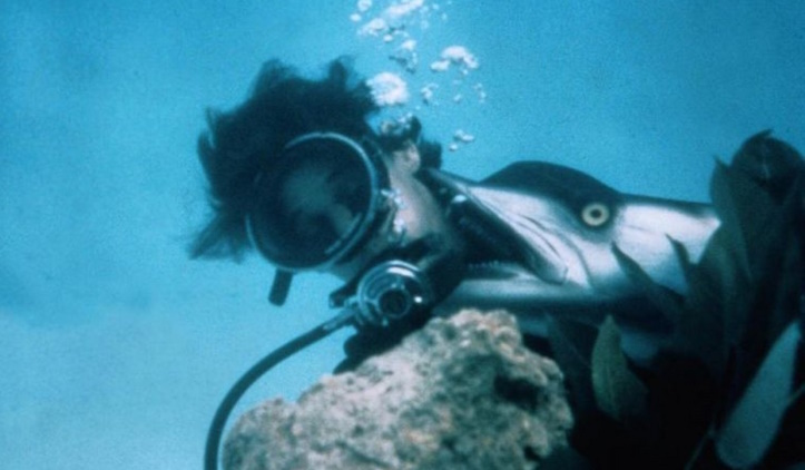 Barracuda (1978) — It’s not really about the fish – Mutant Reviewers